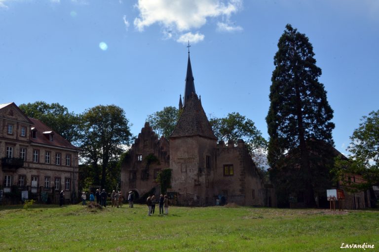 Le château de Niedernai – Au bout de la Lorgnette