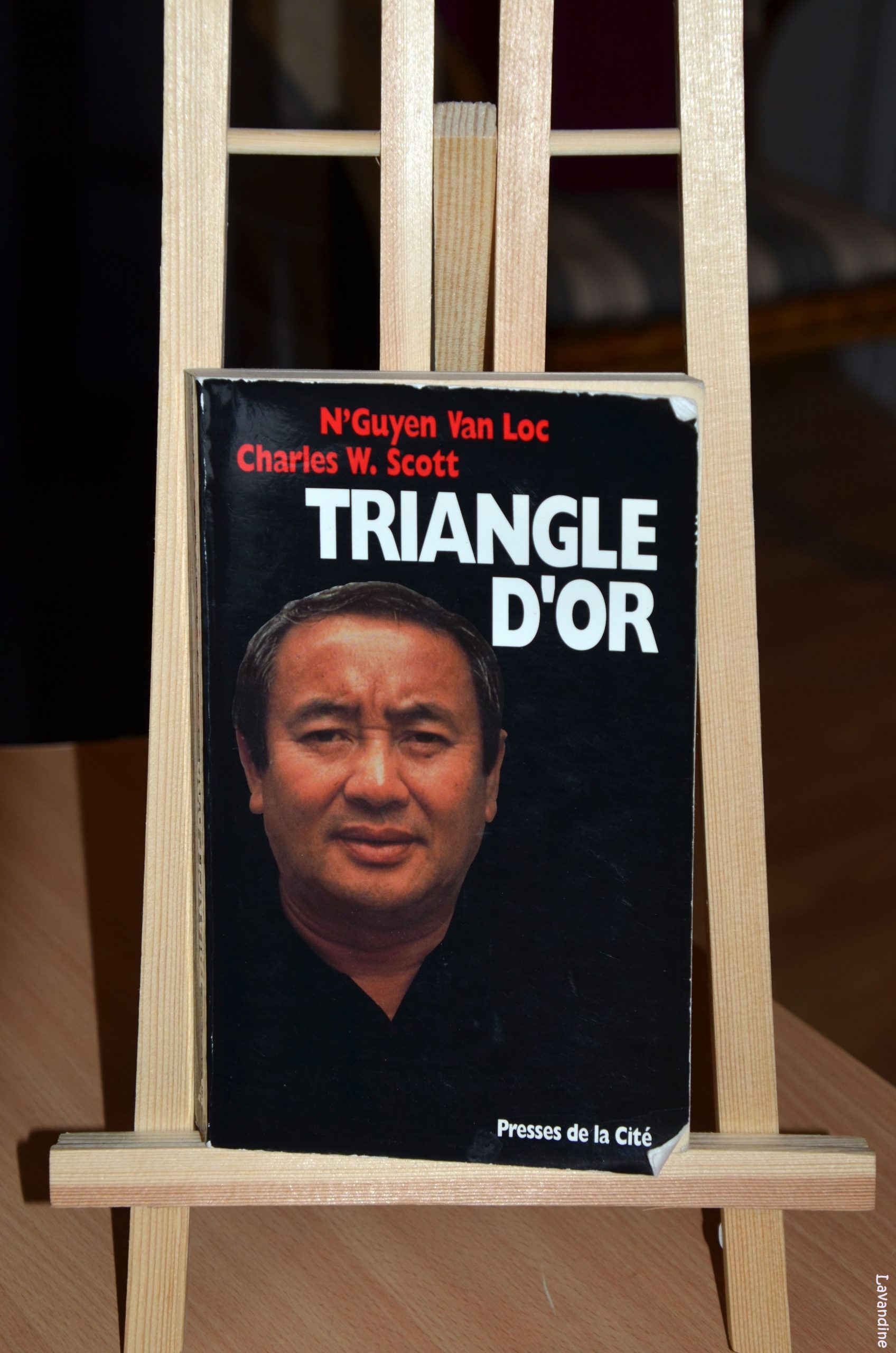 N’Guyen Van Loc Georges – Au bout de la Lorgnette