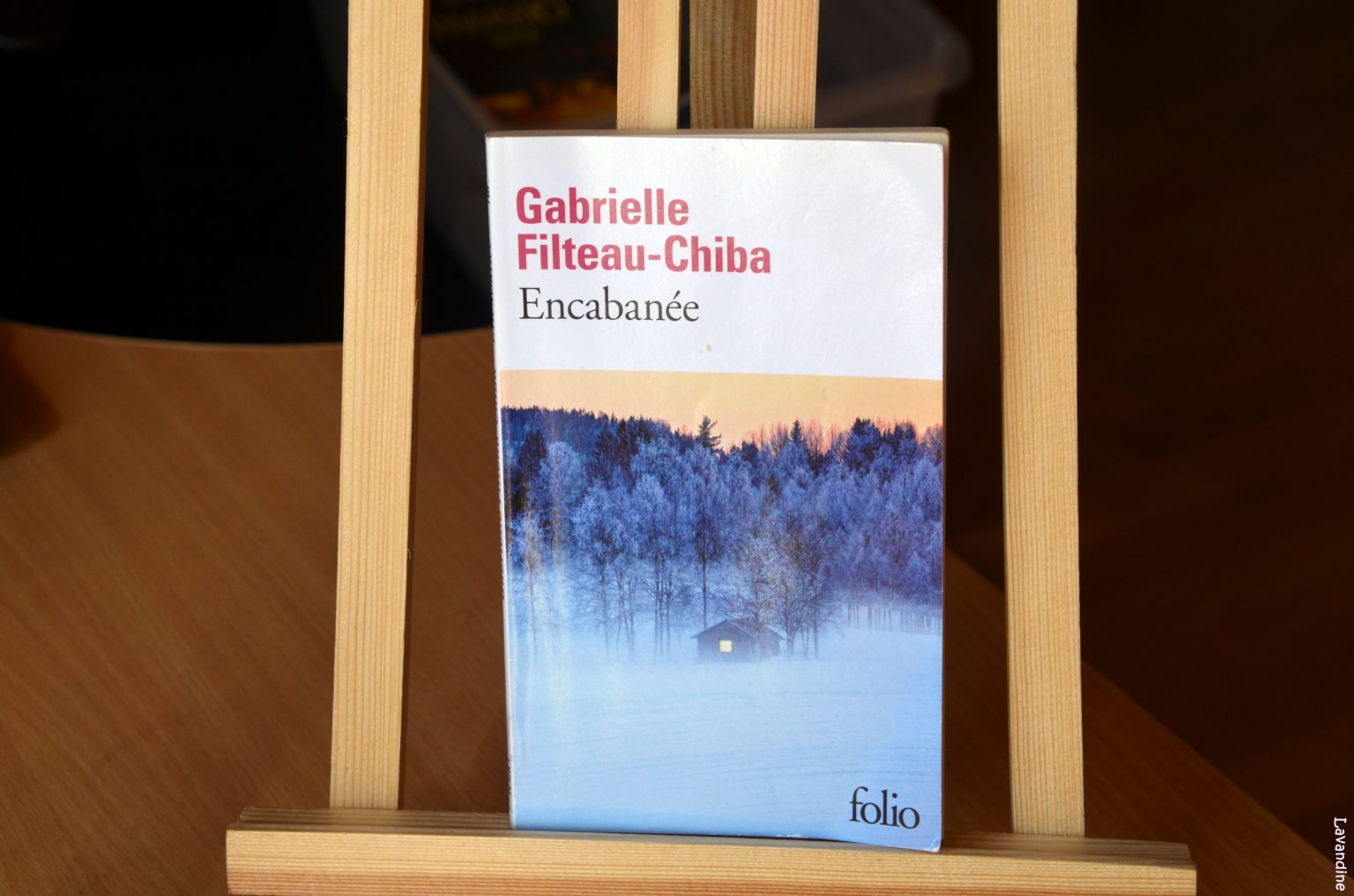 Filteau-Chiba Gabrielle – Au bout de la Lorgnette