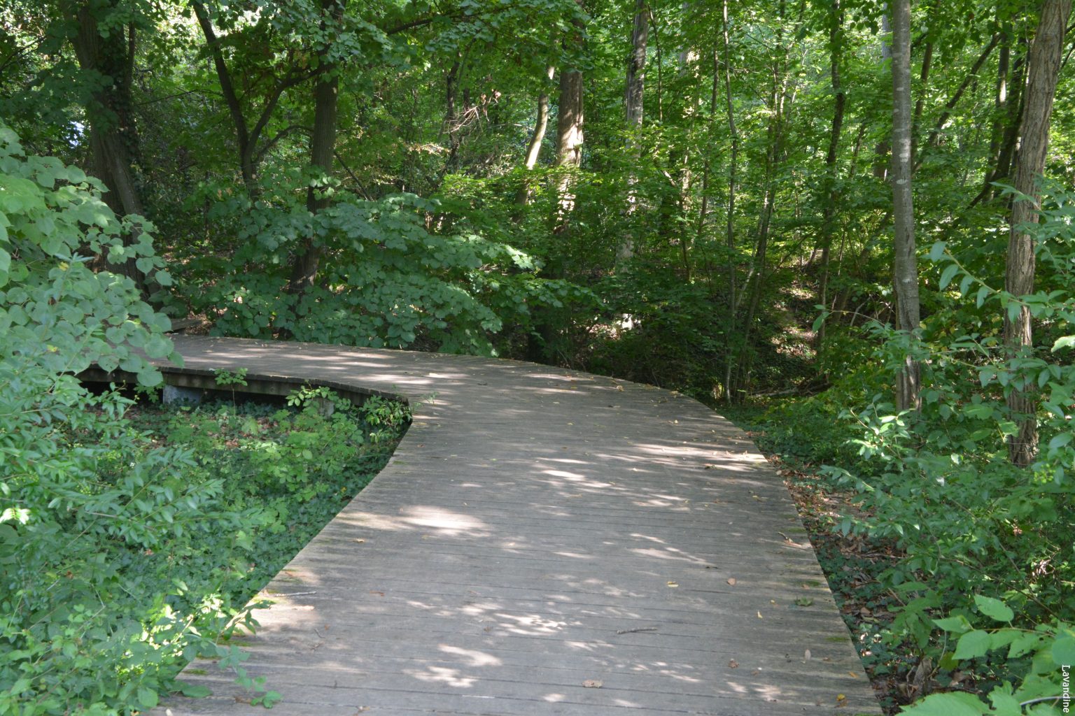 Le fort Uhrich à Illkirch – Au bout de la Lorgnette