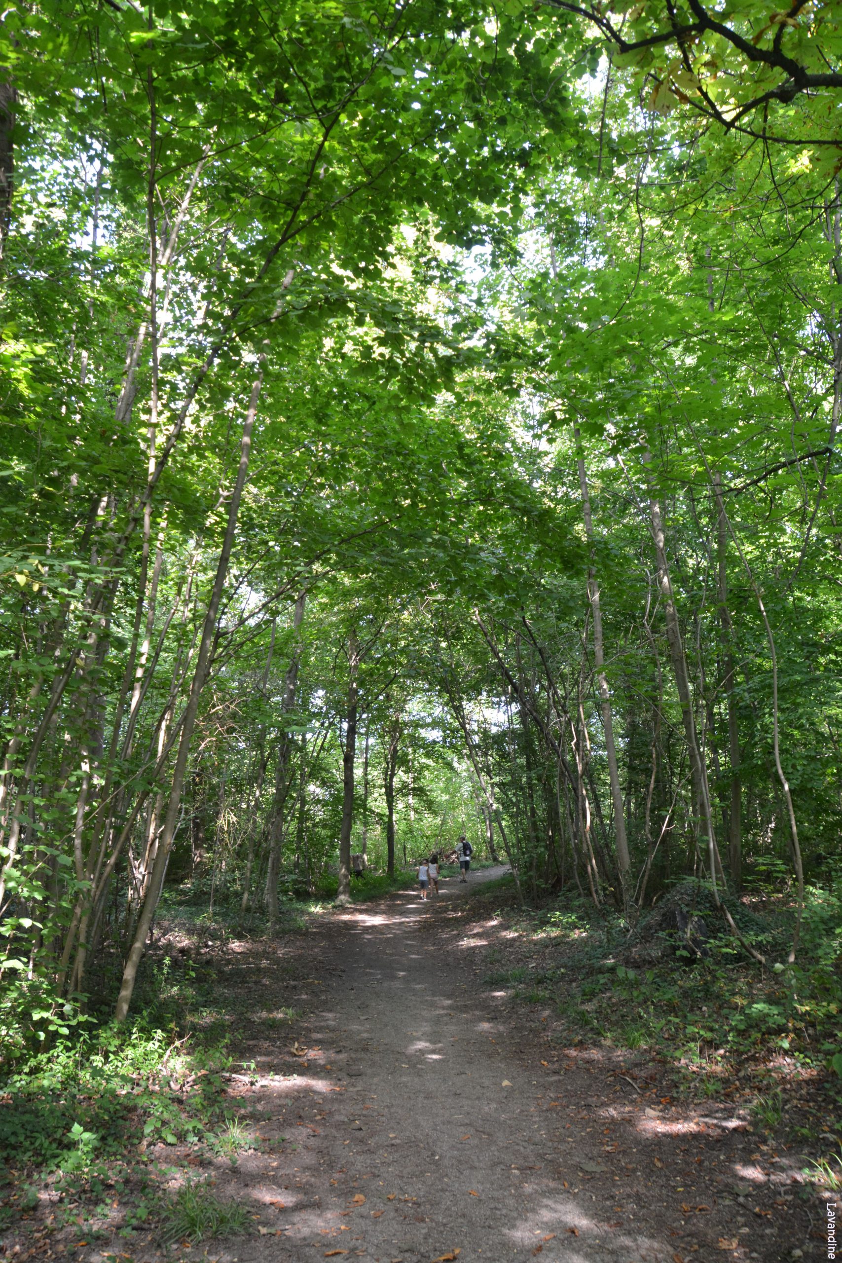 Le fort Uhrich à Illkirch – Au bout de la Lorgnette