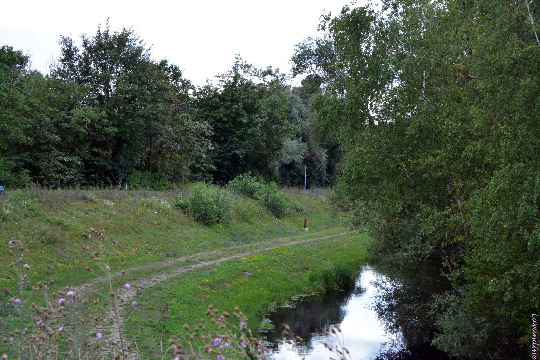 Le Rhinland à Plobsheim – Au bout de la Lorgnette