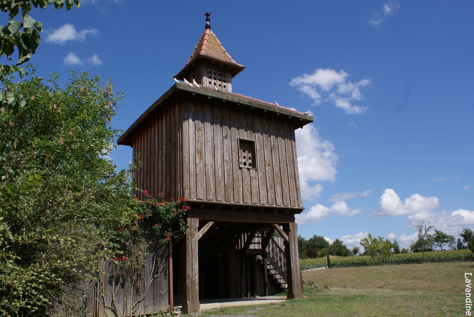 Pigeonniers # 2 – Au bout de la Lorgnette