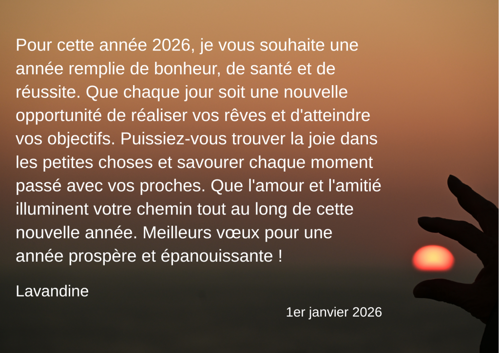 Bonne année 2026 – Au bout de la Lorgnette